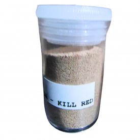INSETICIDA EXTRA FORTE - KILL RED - UN - (PIOLHICIDA) ORIGINAL